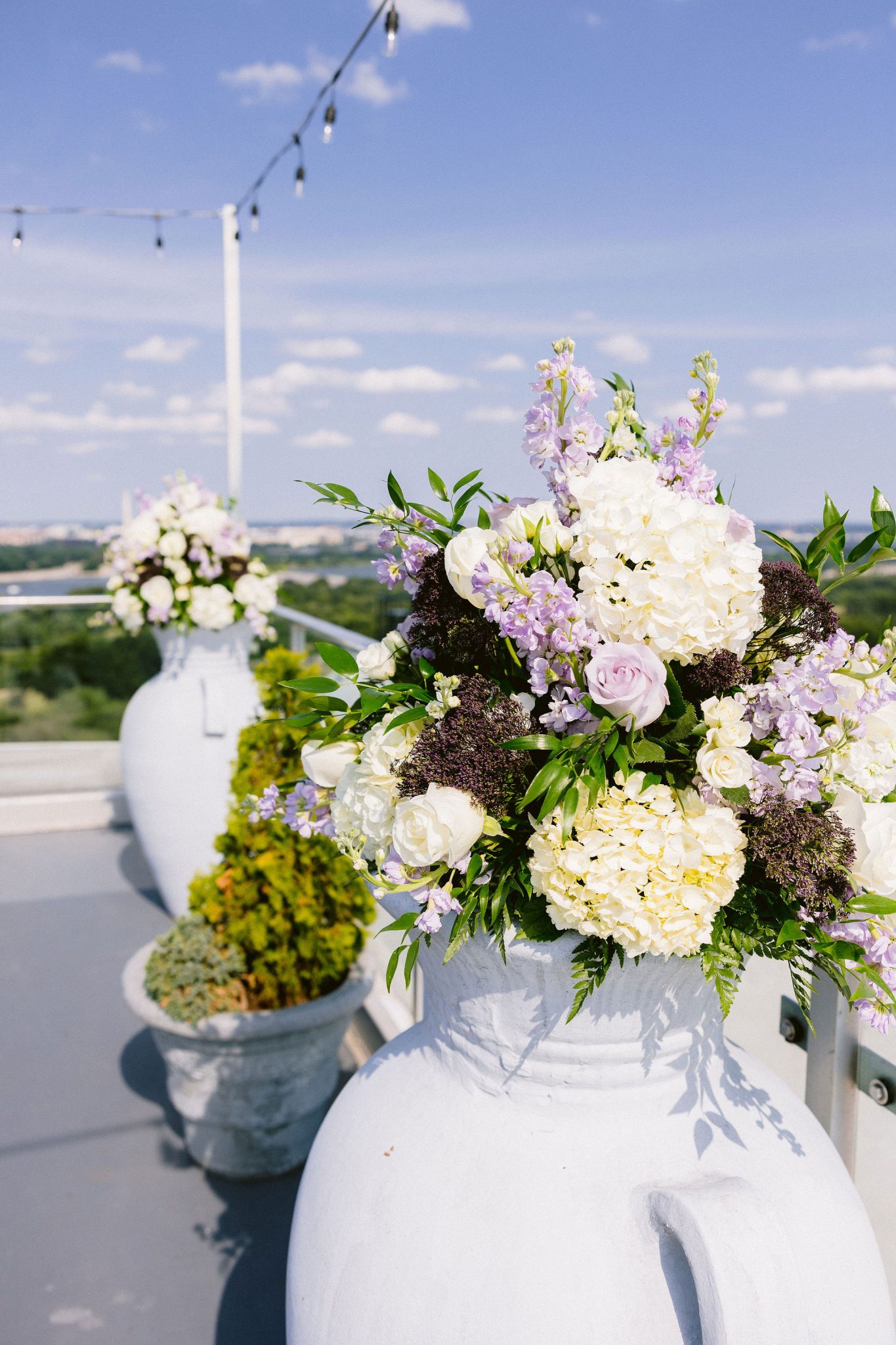 Gallery — Page 8 — Rick's Flowers