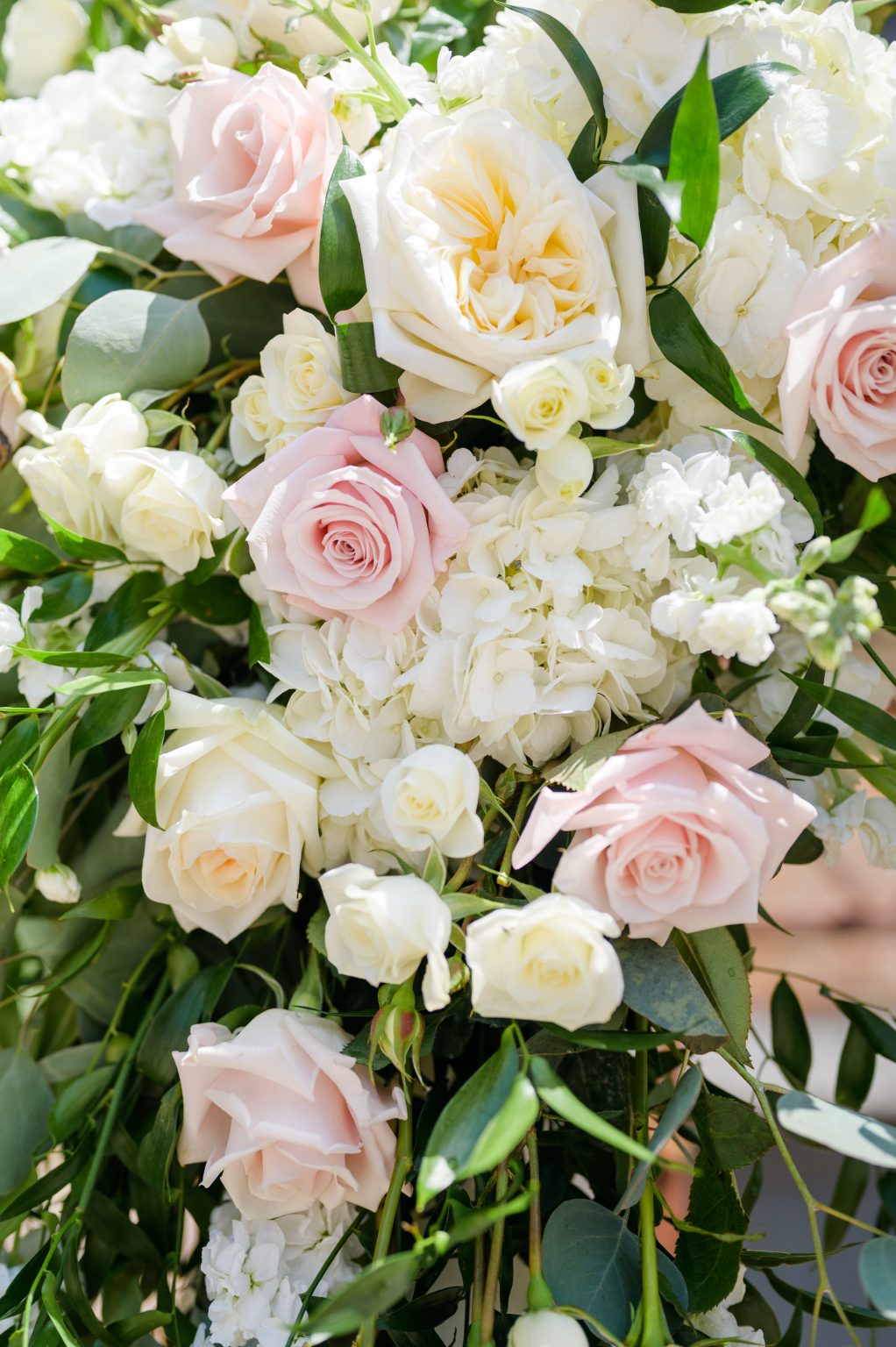 Gallery — Page 5 — Rick's Flowers