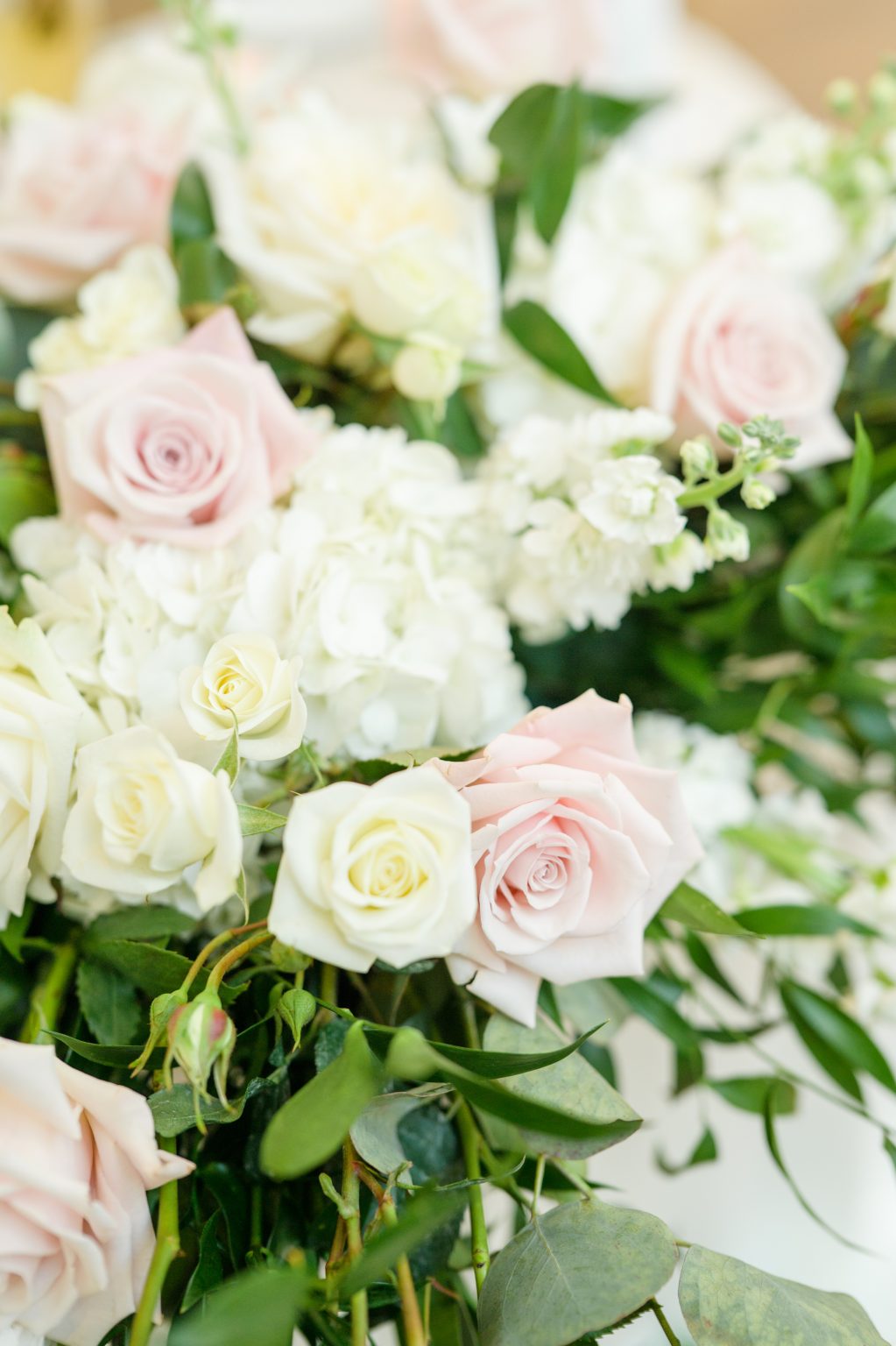 Gallery — Page 5 — Rick's Flowers